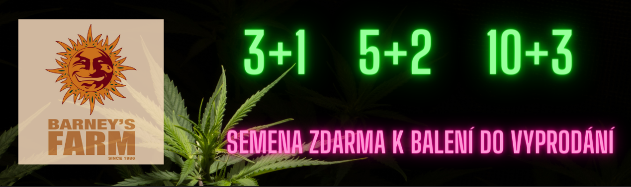 Semena marihuany ZDARMA 2+1 1+1 | SEMENACANNABIS.CZ